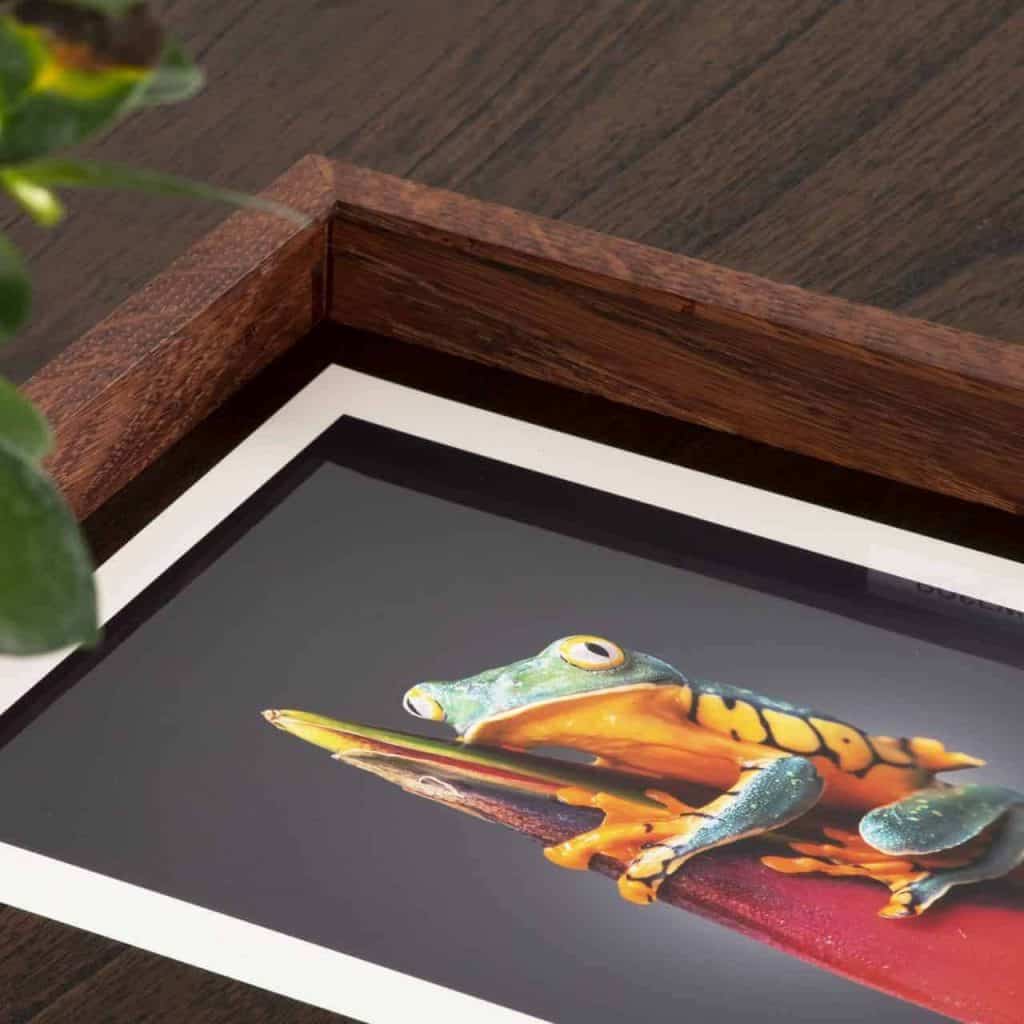 High-Quality Poster Printing: Tips and for Vibrant Impressions